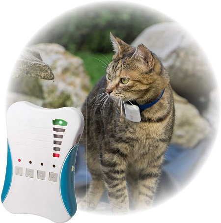 Collier GPS chat : comment choisir un traceur GPS pour votre chat